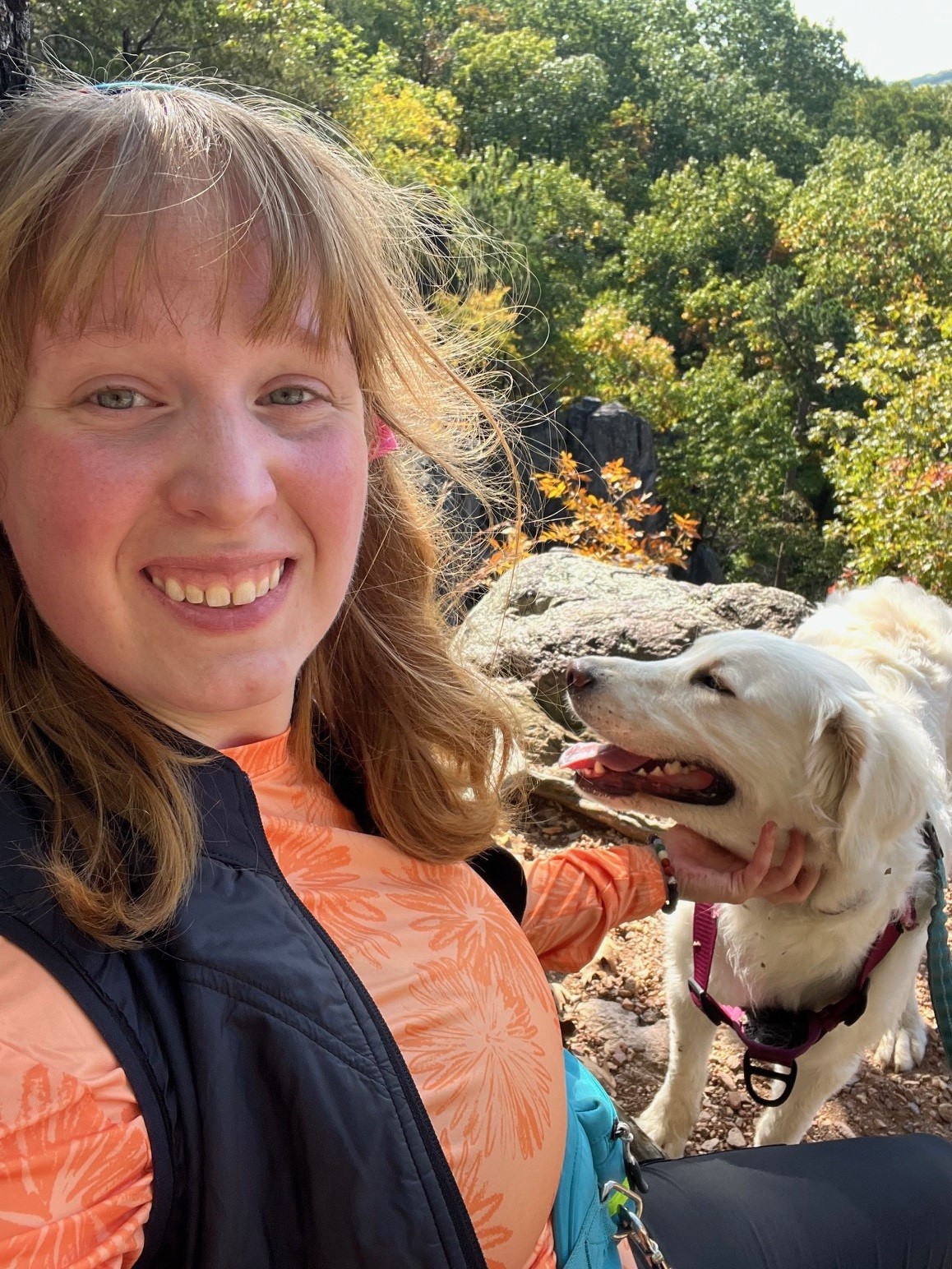 Board Members – NAI South Central